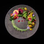 SENRI Birdtree - 公式サイト